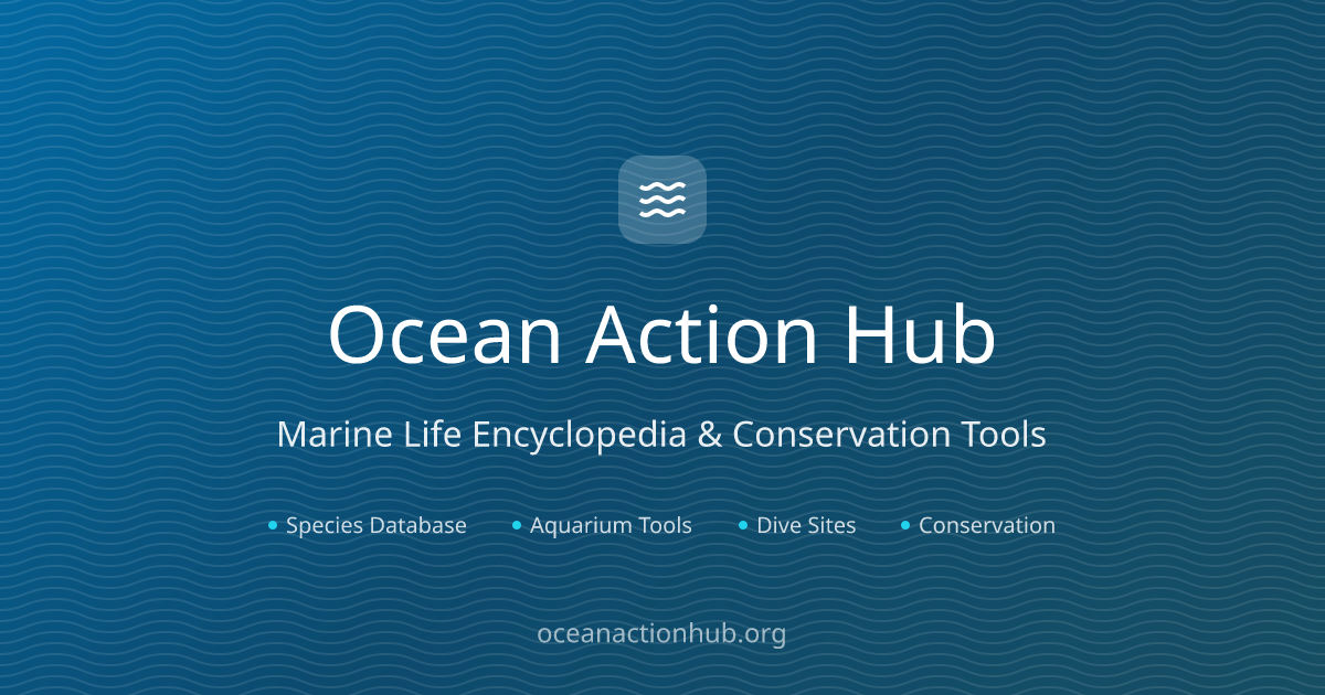 Marine Species Database | 2000+ Ocean Animals | Ocean Action Hub